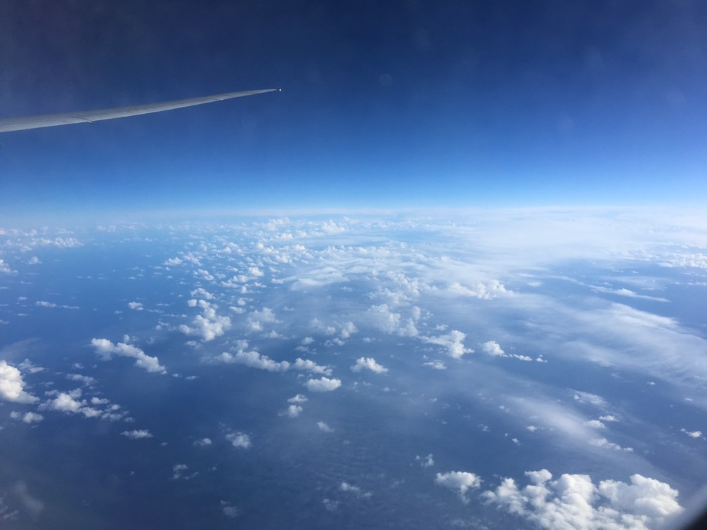 I will climb up step by step - AmazingTalker