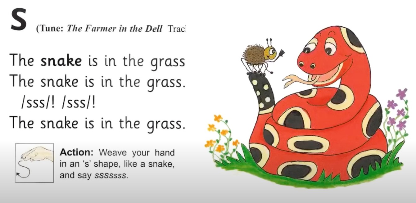 The snake is in the grass - AmazingTalker